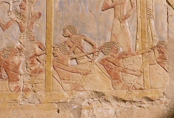 The Ancient Egyptian Rowing Stroke: Propelling the Boats of Gods and ...