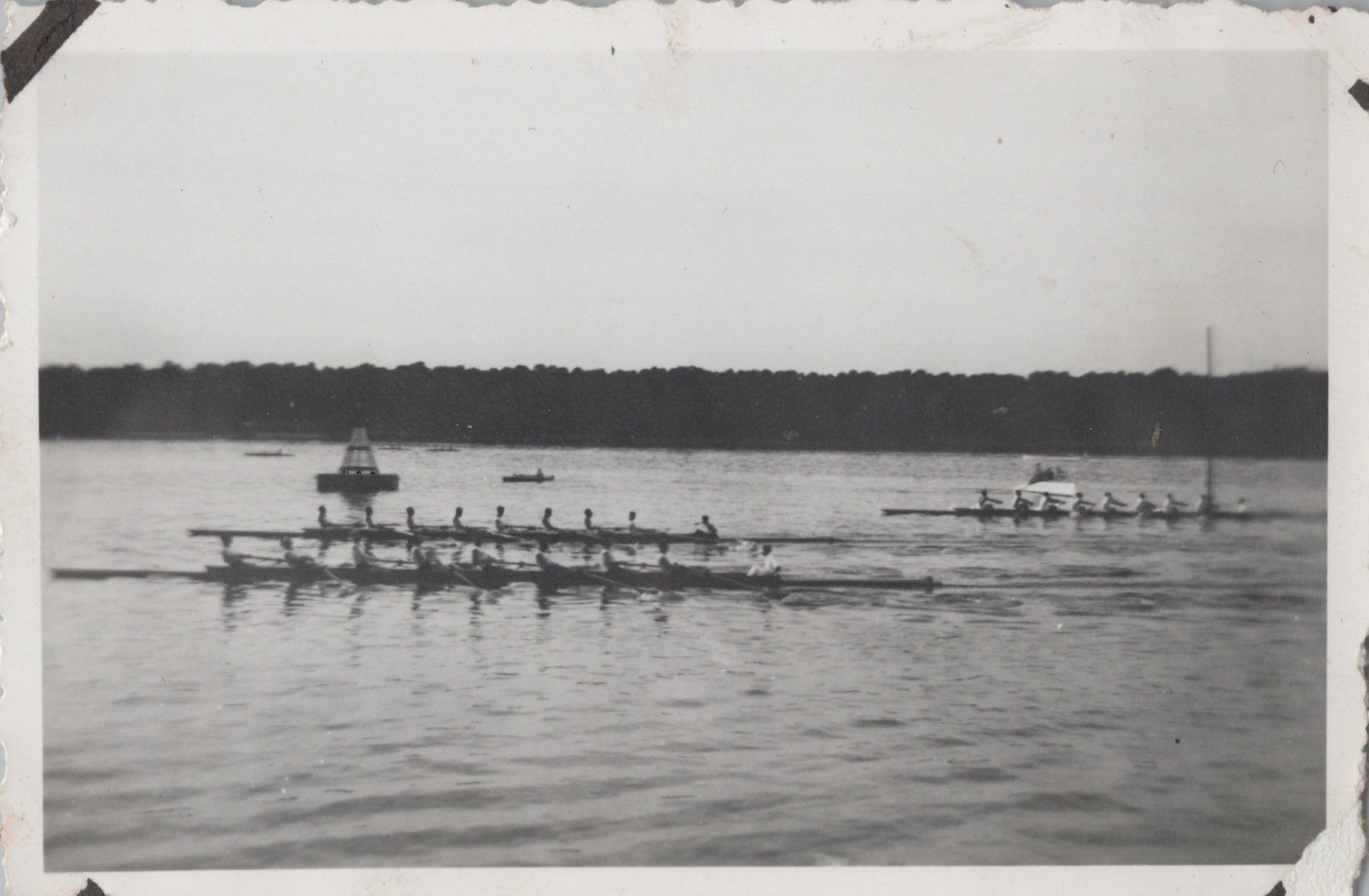 The Boys in the German Boat: Wikings at the 1936 Olympics – Part II ...